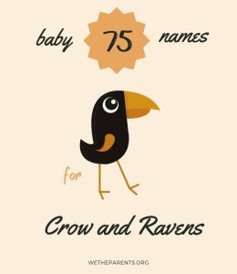 75 Creative Crow and Raven Names for Your New Baby - WeTheParents