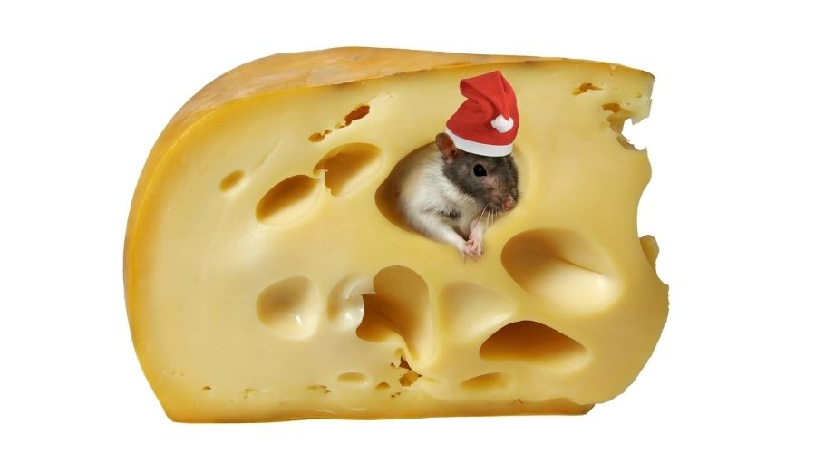 Cheese Jokes and Puns for Kids - WeTheParents