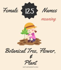 125 Botanical Tree, Flower, and Plant Names for Girls - WeTheParents