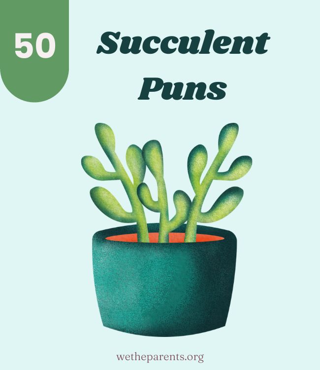 50 Succulent Puns That Are a Root - WeTheParents